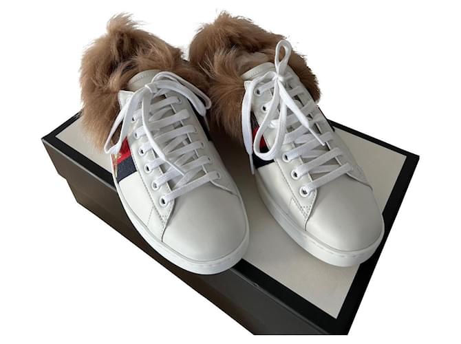 Gucci ace fur White Leather ref.736589 - Joli Closet