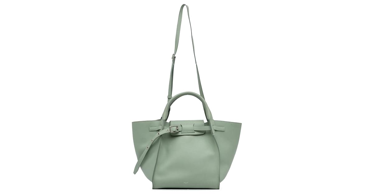 Celine Celine Green Small Big Bag Light green Leather Pony style calfskin ref.1306659 Joli Closet