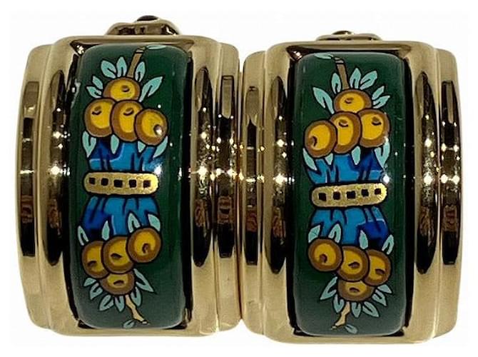 Hermès Hermes Email Earrings Green Metal ref.2435945 - Joli Closet