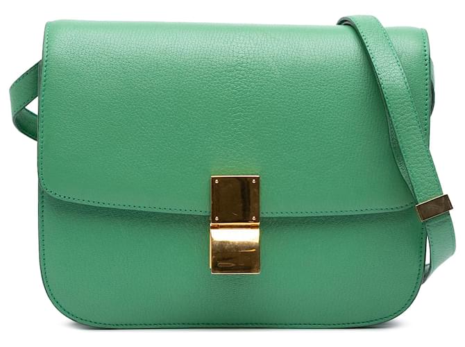 Céline Celine Green Medium Calfskin Classic Box Light green Leather ...