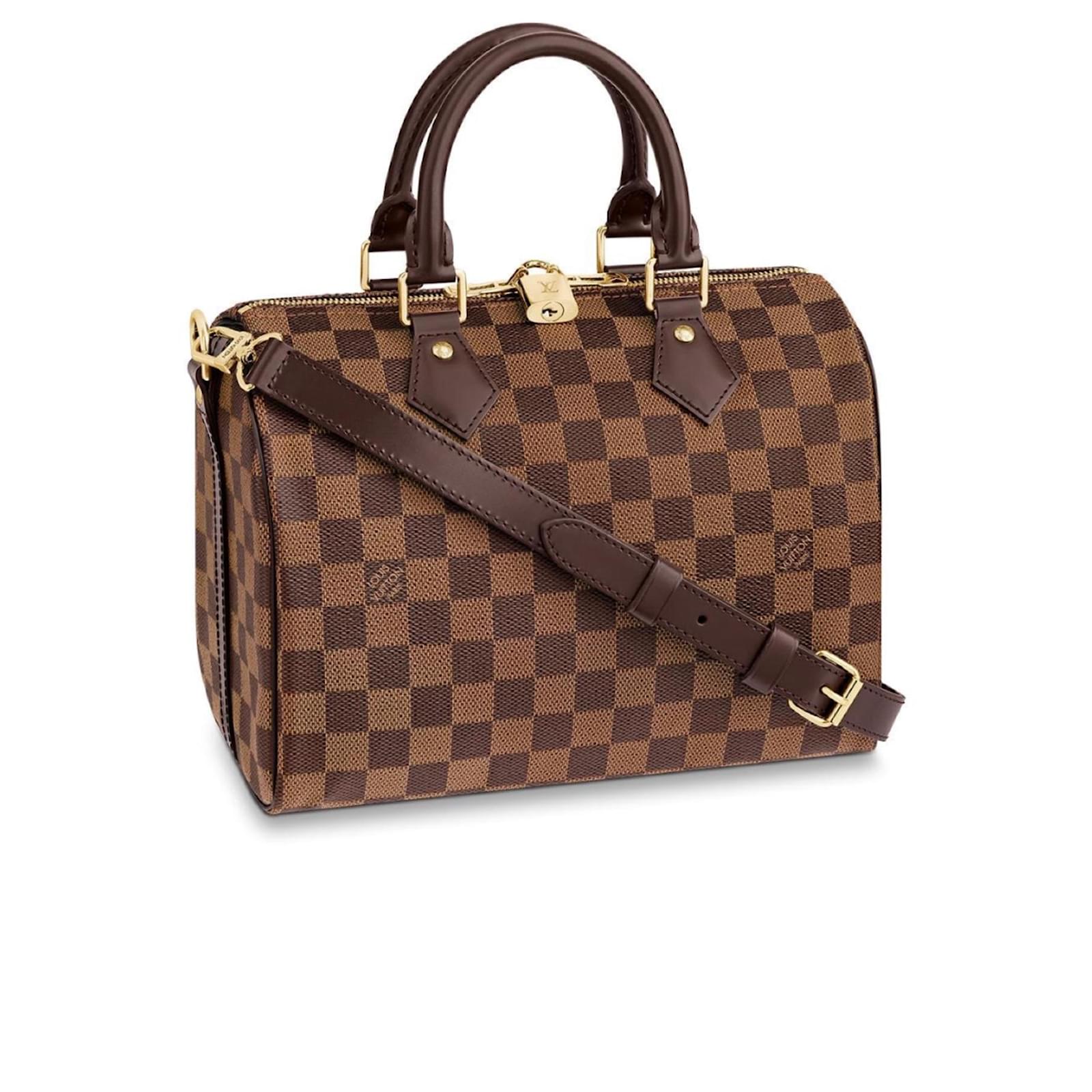 Louis Vuitton LV speedy 25 Banda Marrom ref.192266 - Joli Closet