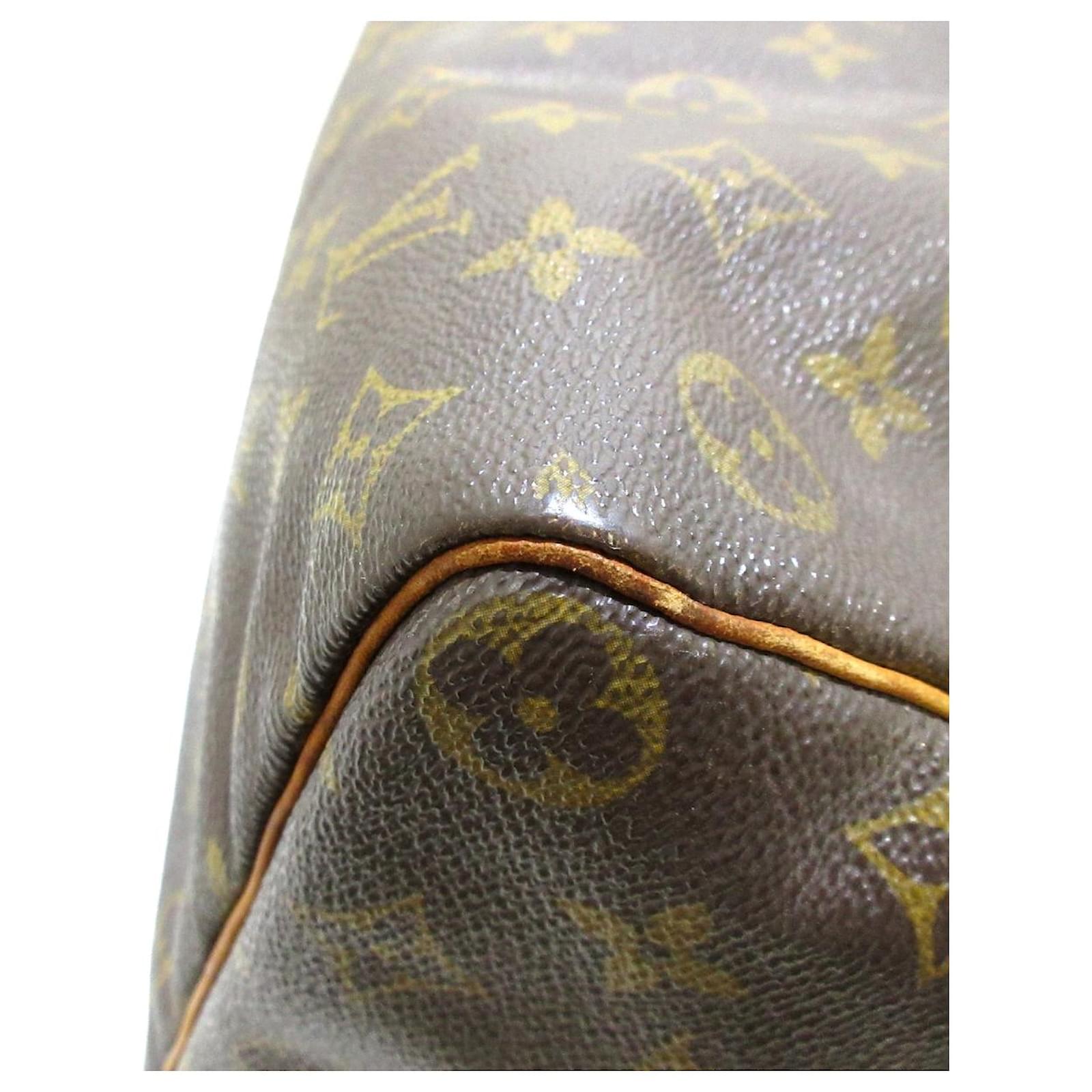 Louis Vuitton Speedy 35 Toile Marron ref.513383 - Joli Closet