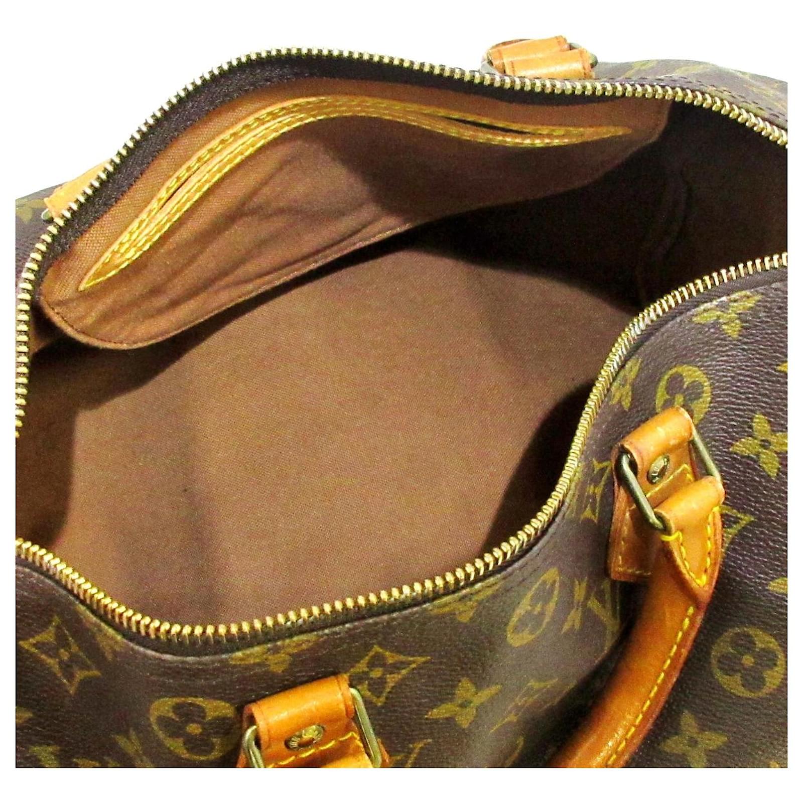 Louis Vuitton Speedy 30 Brown Cloth ref.561749 - Joli Closet