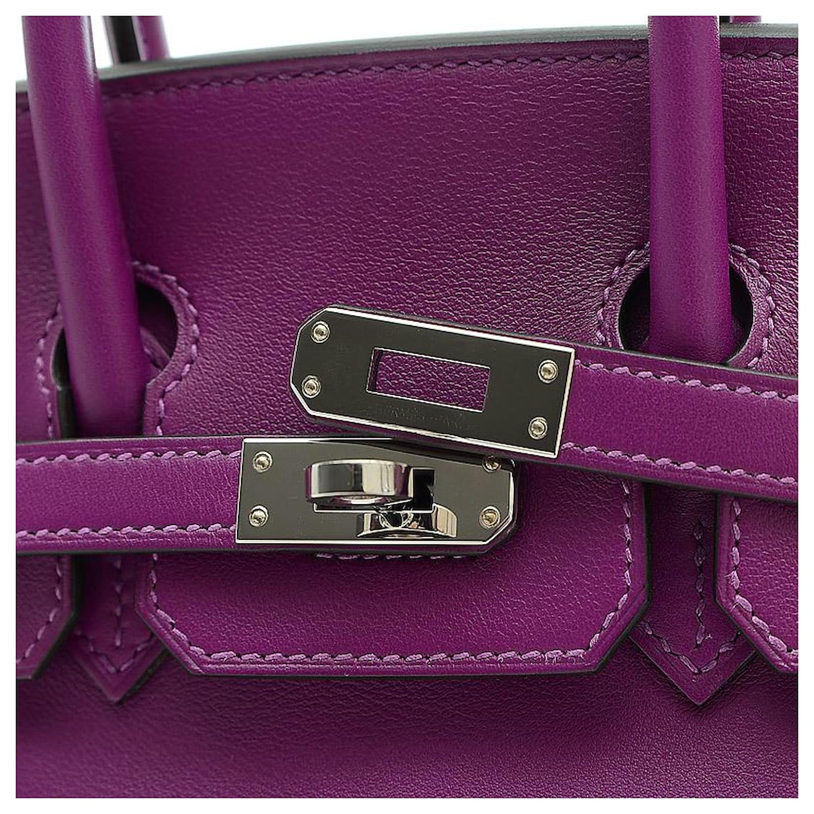 Hermès HERMES BIRKIN 25 Purple Leather ref.657866 - Joli Closet
