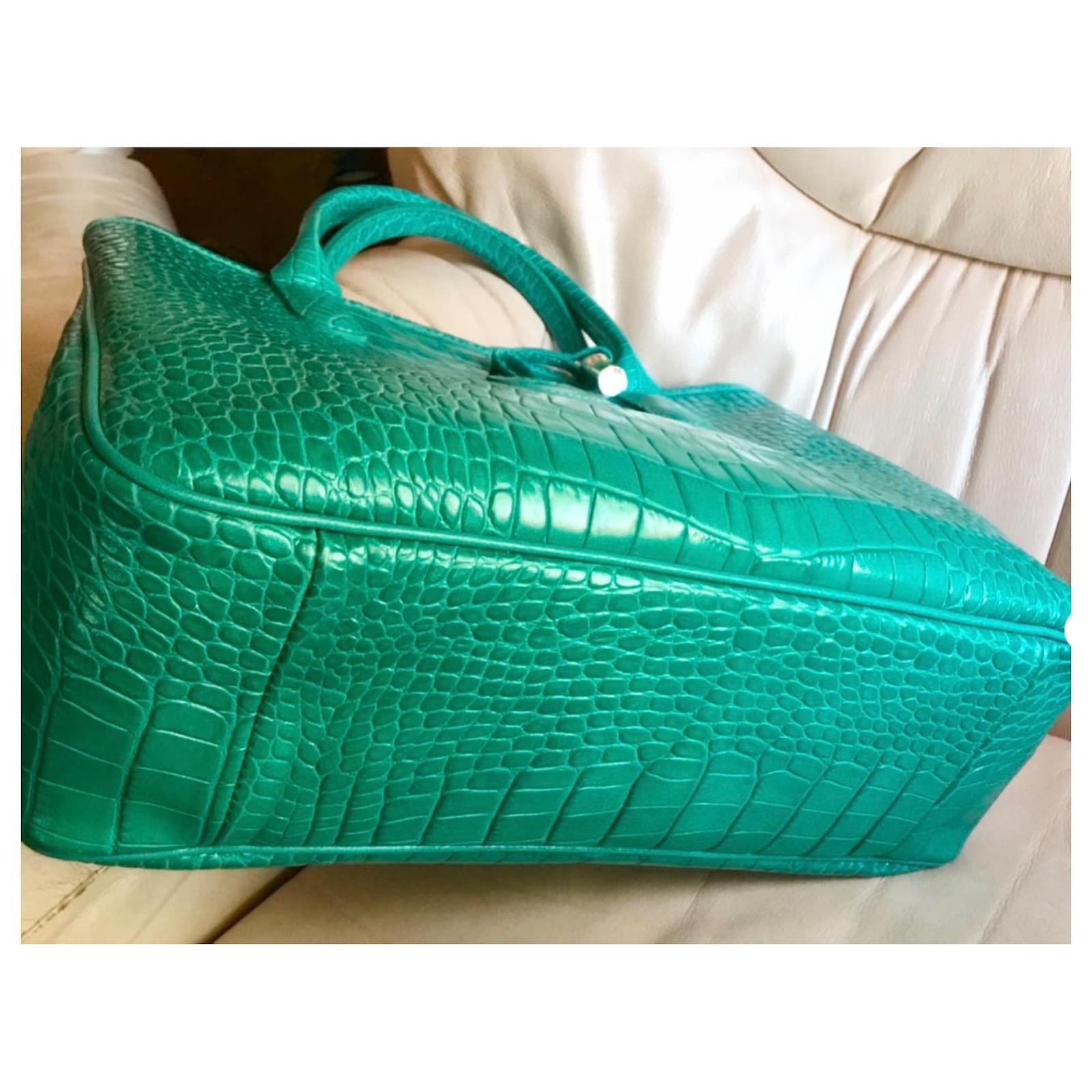 Longchamp ROSEAU Cuir Vert clair ref.755587 - Joli Closet