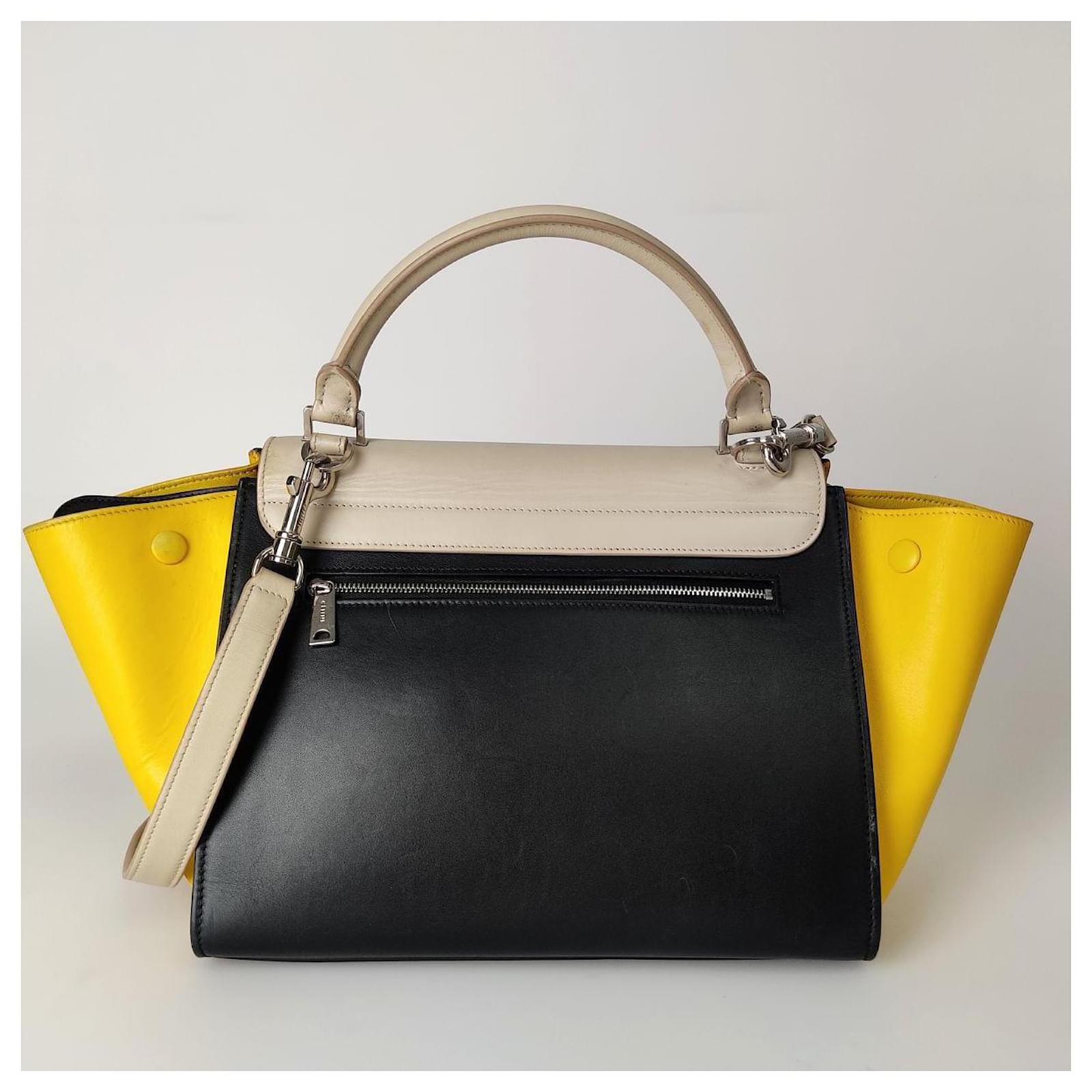 Céline Celine Trapèze Bag in Multicolored Leather Multiple colors ref ...