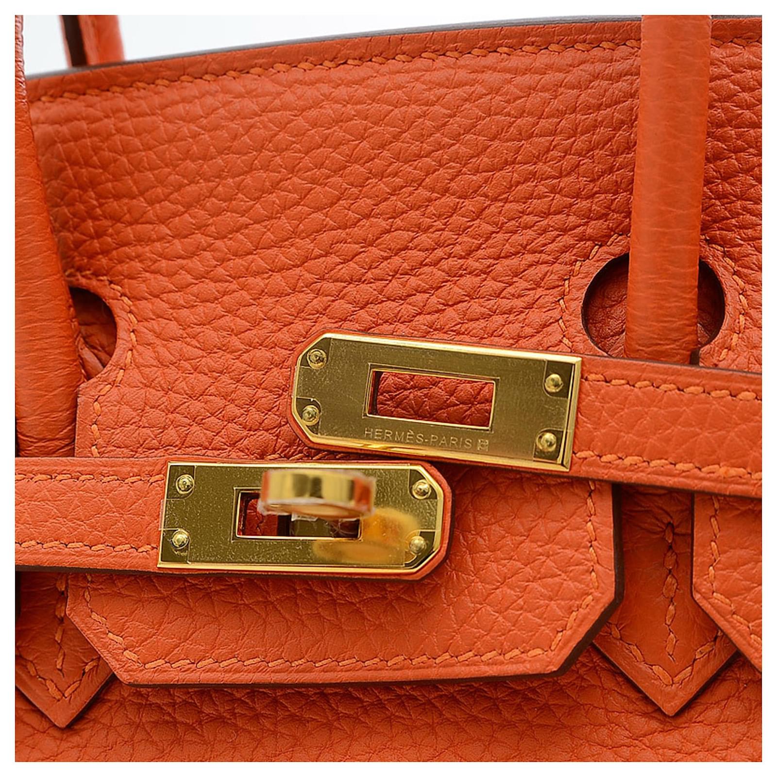 Hermès Birkin 25 Orange Leather ref.817423 - Joli Closet
