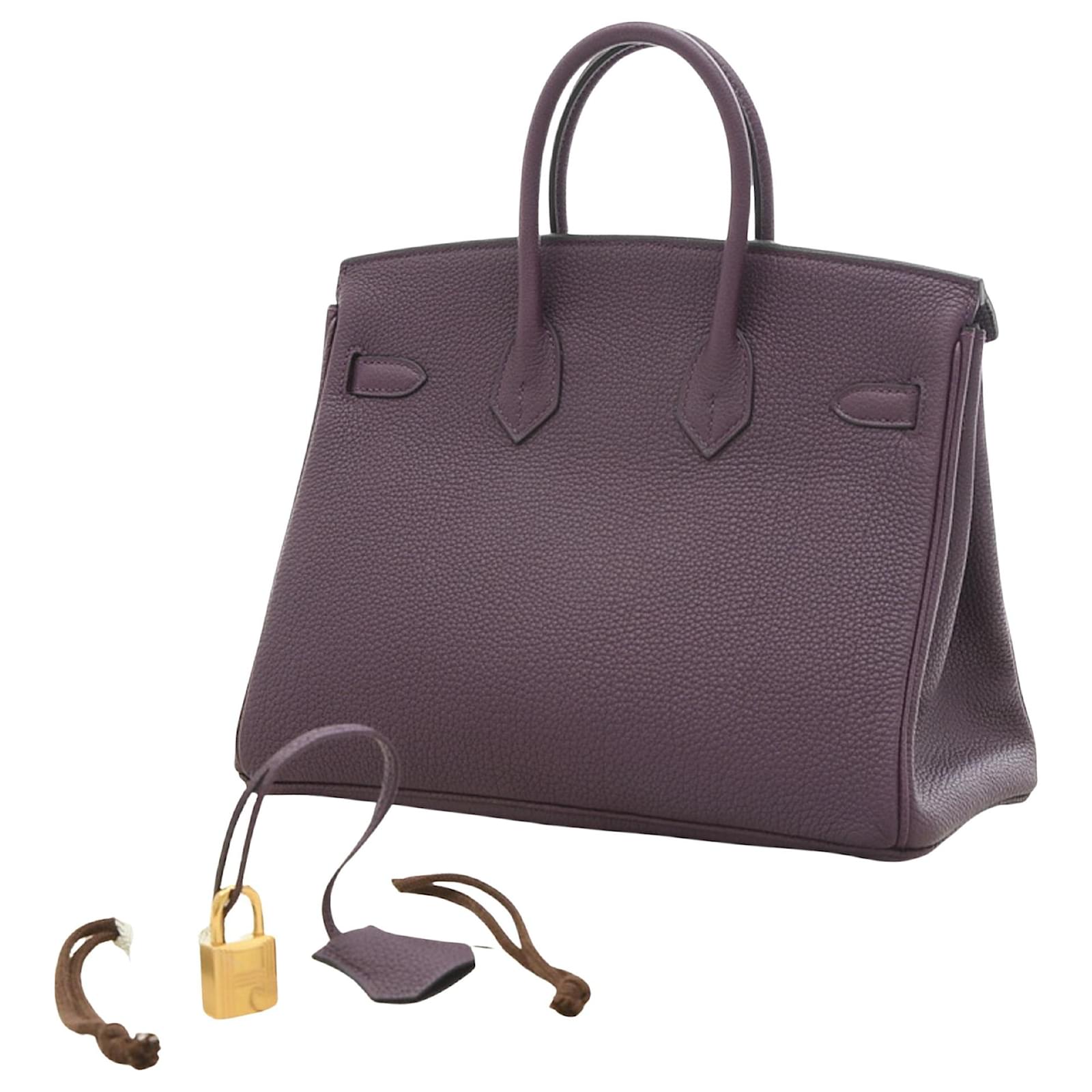 Hermès Birkin 25 Purple Leather ref.917898 - Joli Closet