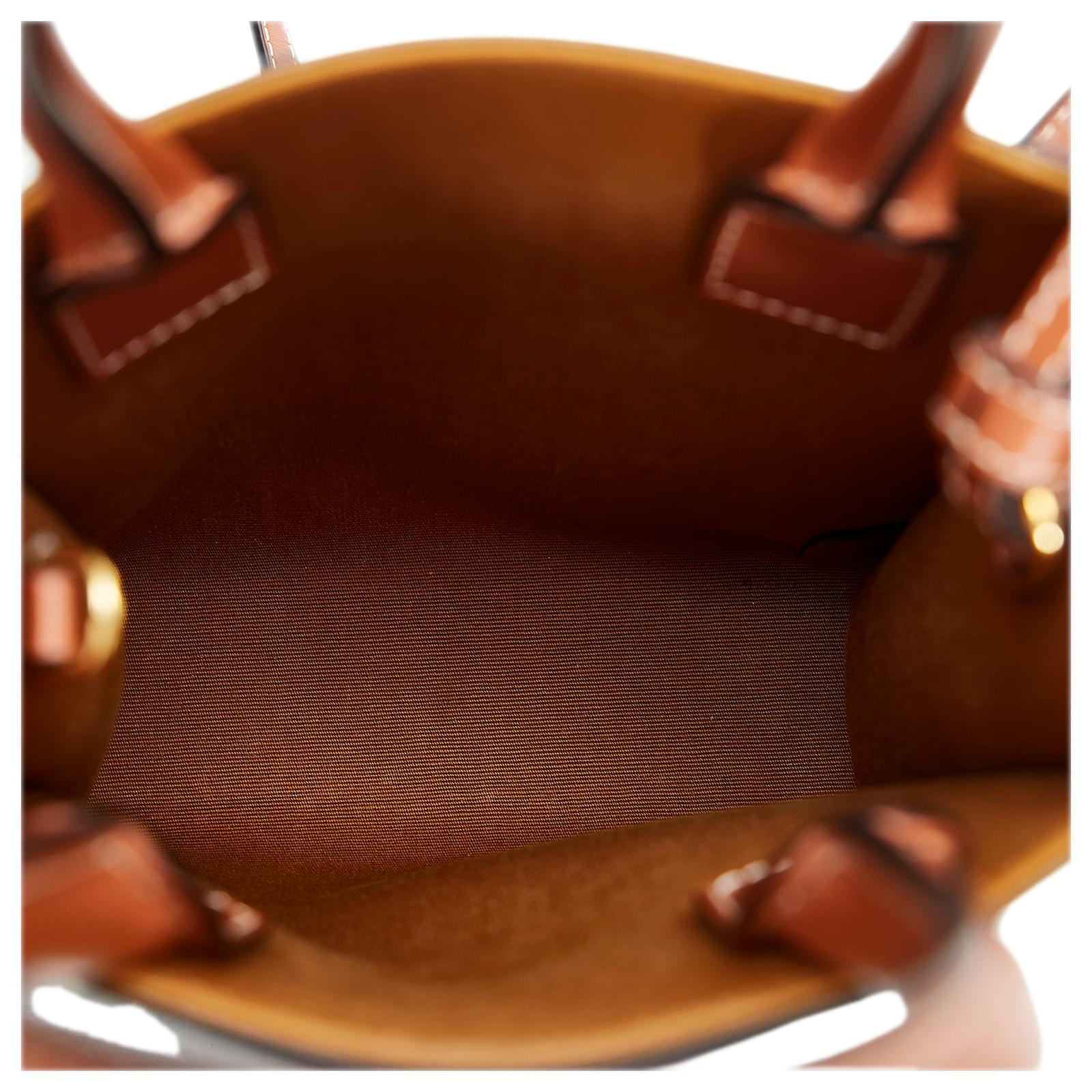 Céline Celine Brown Mini Triomphe Vertical Cabas Pony-style calfskin ...