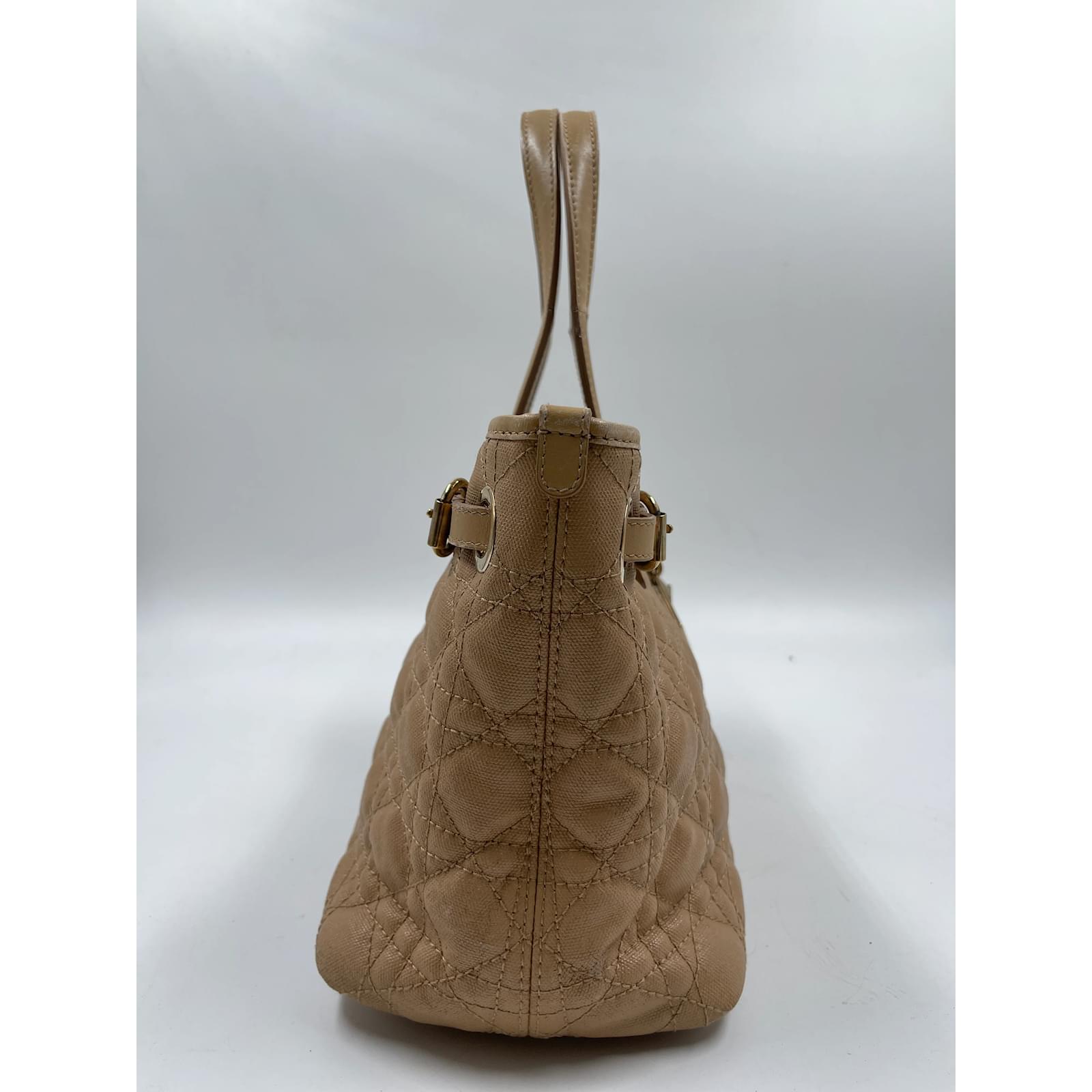 Brown Coated Canvas Lady Dior Medium Cloth ref.990555 - Joli Closet