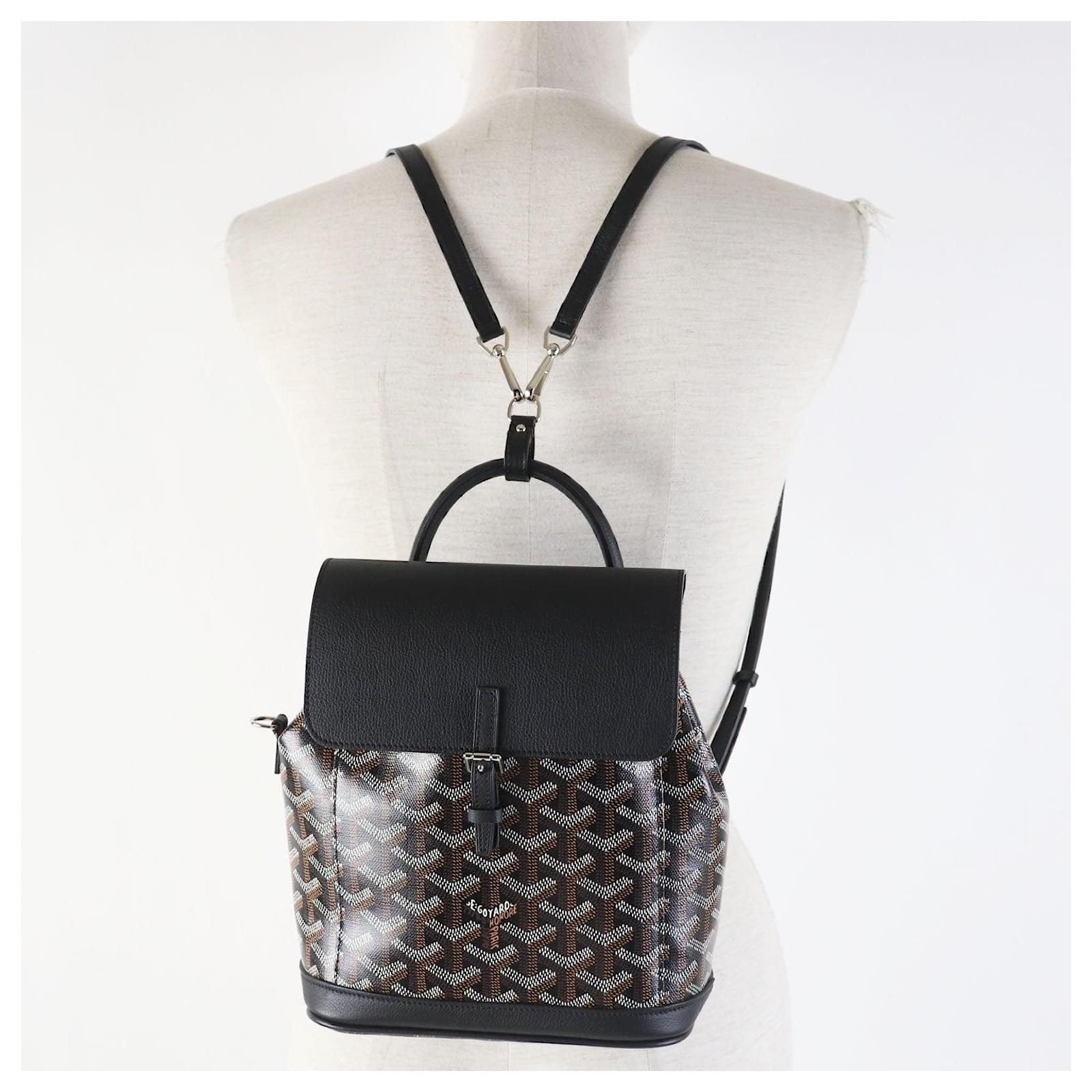 Goyard Alpin Mini 3WAY Leather Backpack Black Cloth ref.1773295 - Joli ...