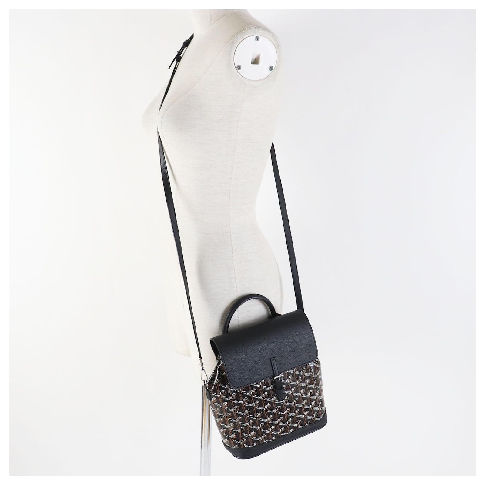 Goyard Alpin Mini 3WAY Leather Backpack Black Cloth ref.1773295 - Joli ...