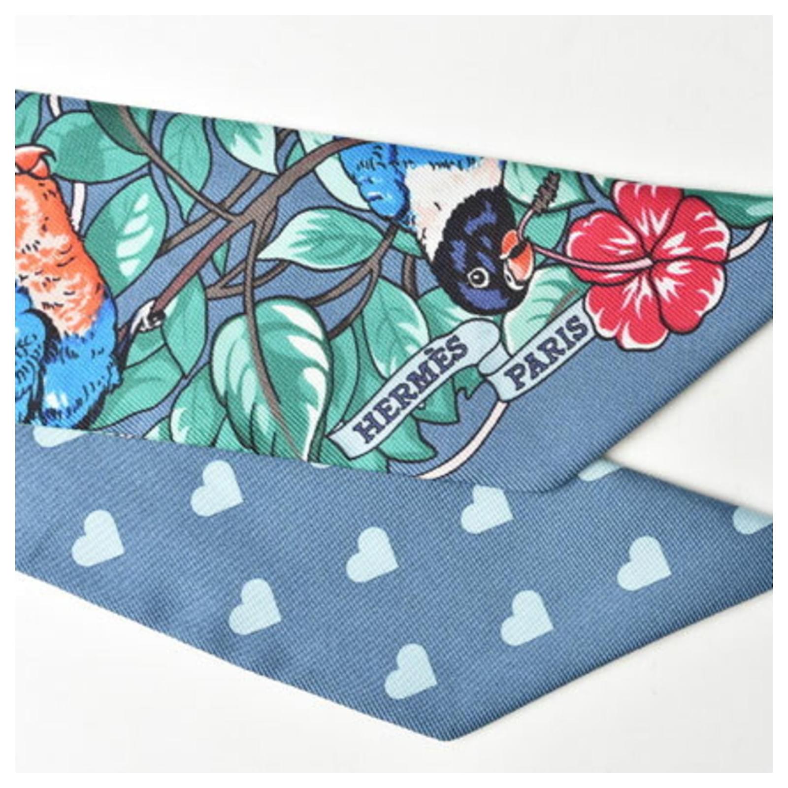 Hermès Hermes Twilly Scarf in Blue Silk ref.2167698 - Joli Closet