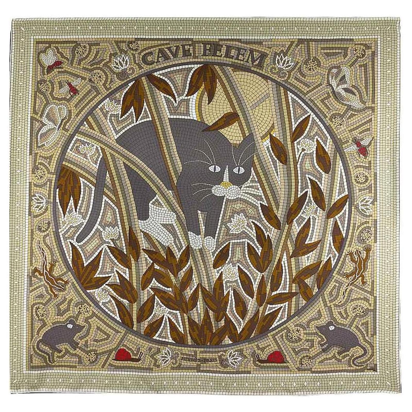 Hermès Cave Felem Multiple colors Silk ref.115108 - Joli Closet