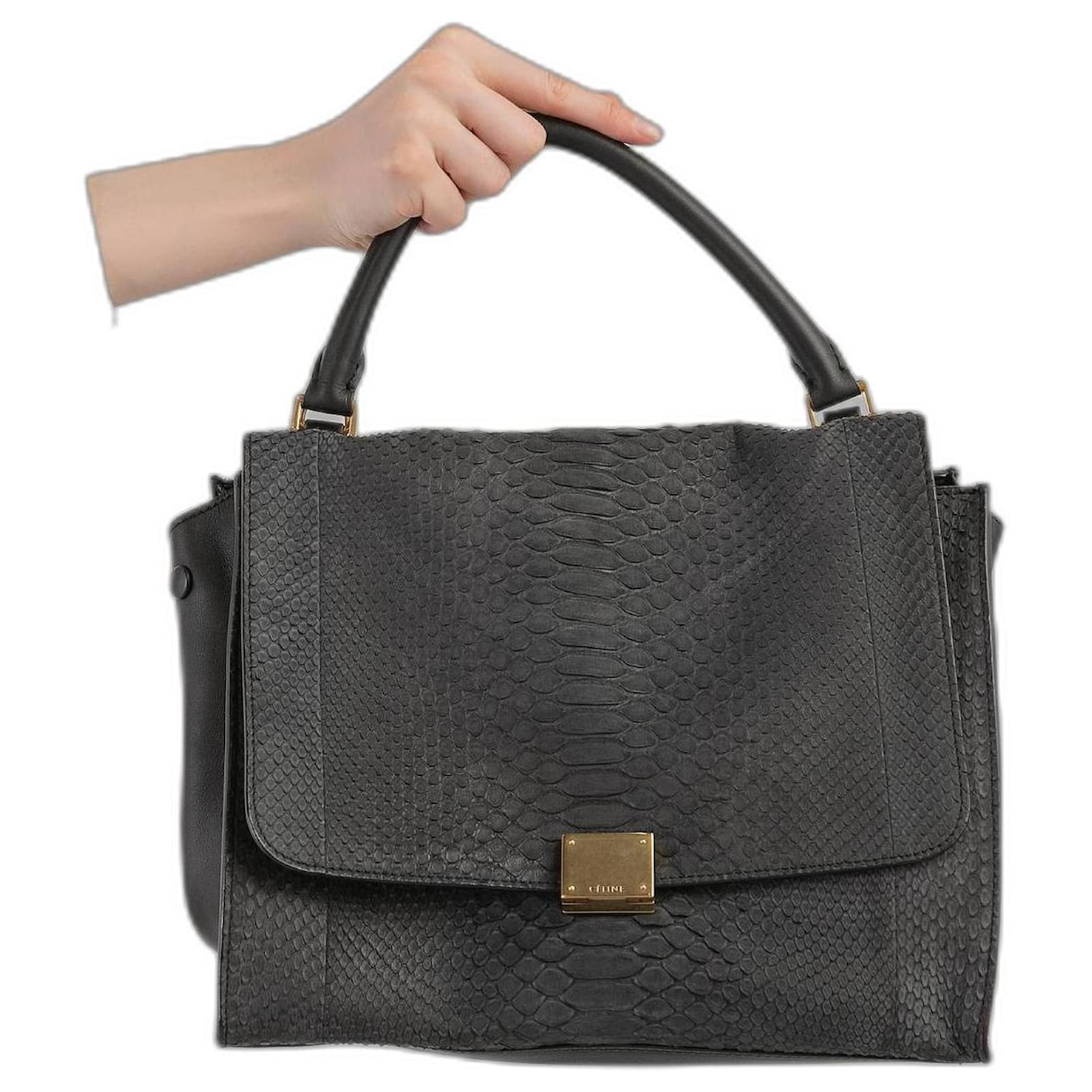 Céline Celine bag Black ref.453694 - Joli Closet