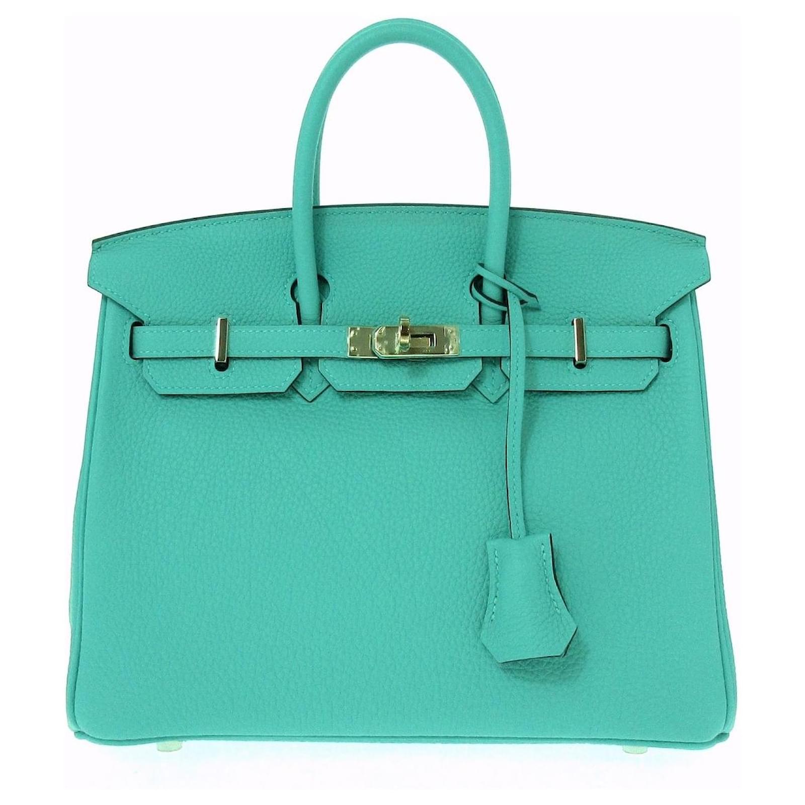 Hermès HERMES BIRKIN 25 Blau Leder ref.634709 - Joli Closet