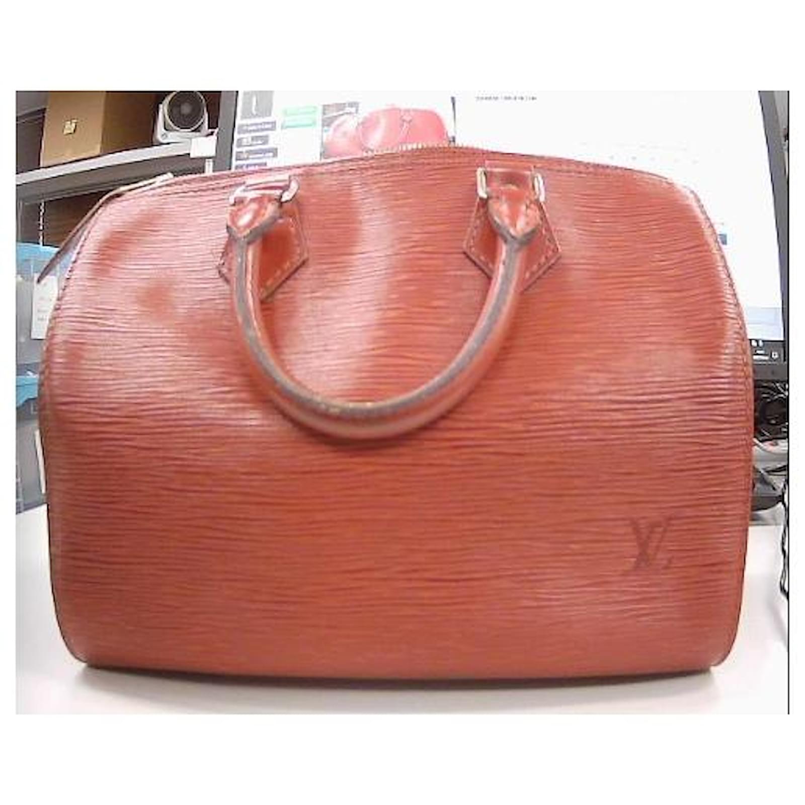 Louis Vuitton Brown Epi Speedy 25 Leather ref.653531 - Joli Closet