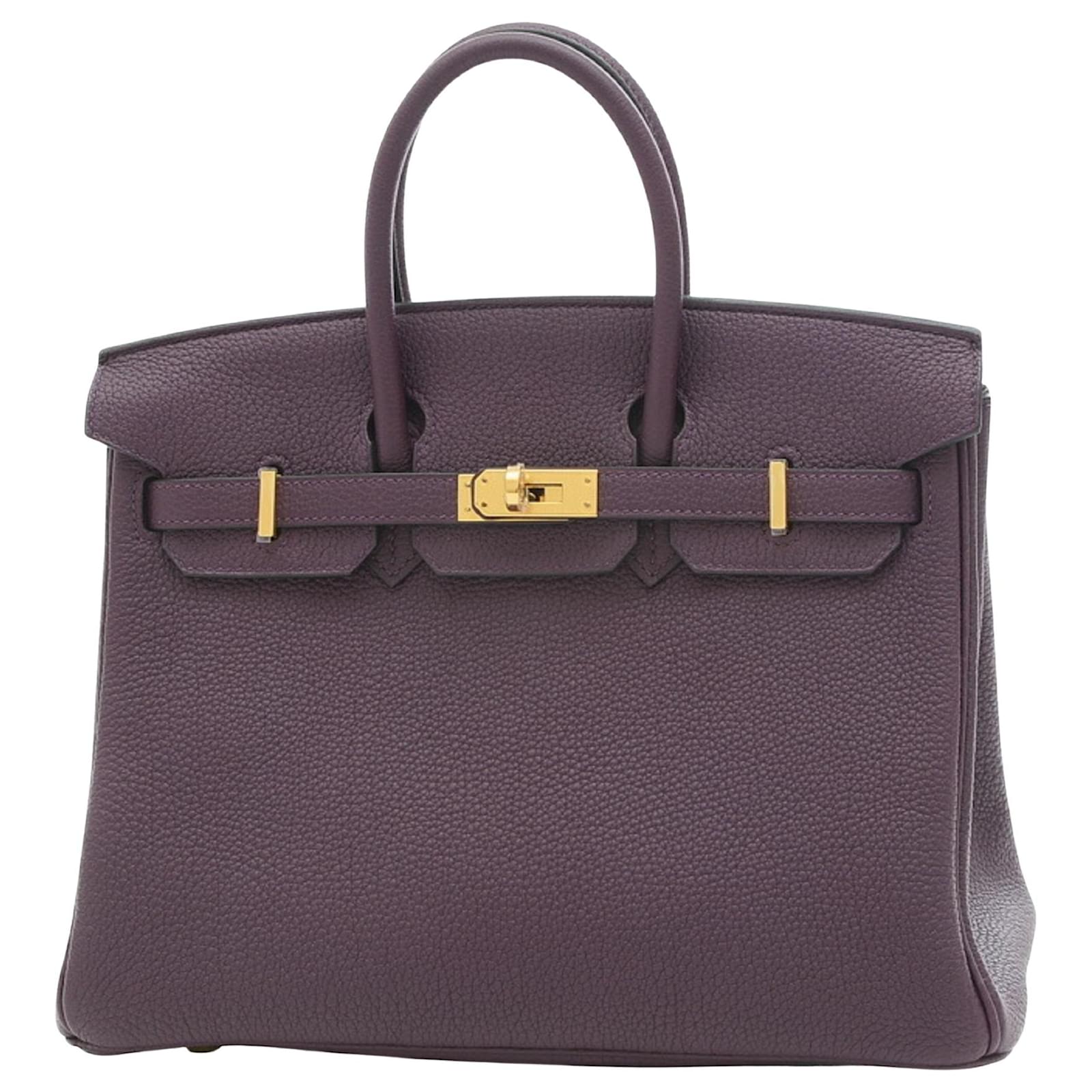 Hermès Birkin 25 Purple Leather ref.917898 - Joli Closet