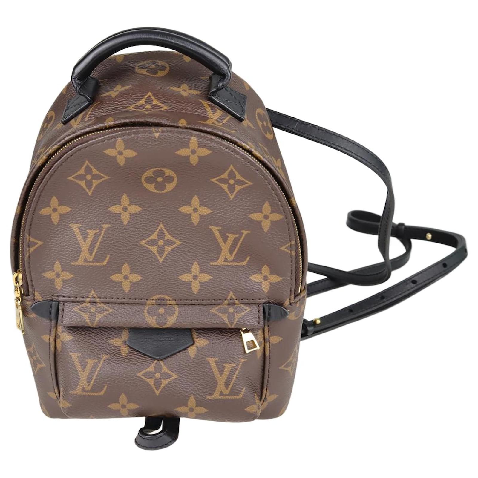 Louis Vuitton Brown Monogram Palm Springs Mini Leather ref.1077594 ...