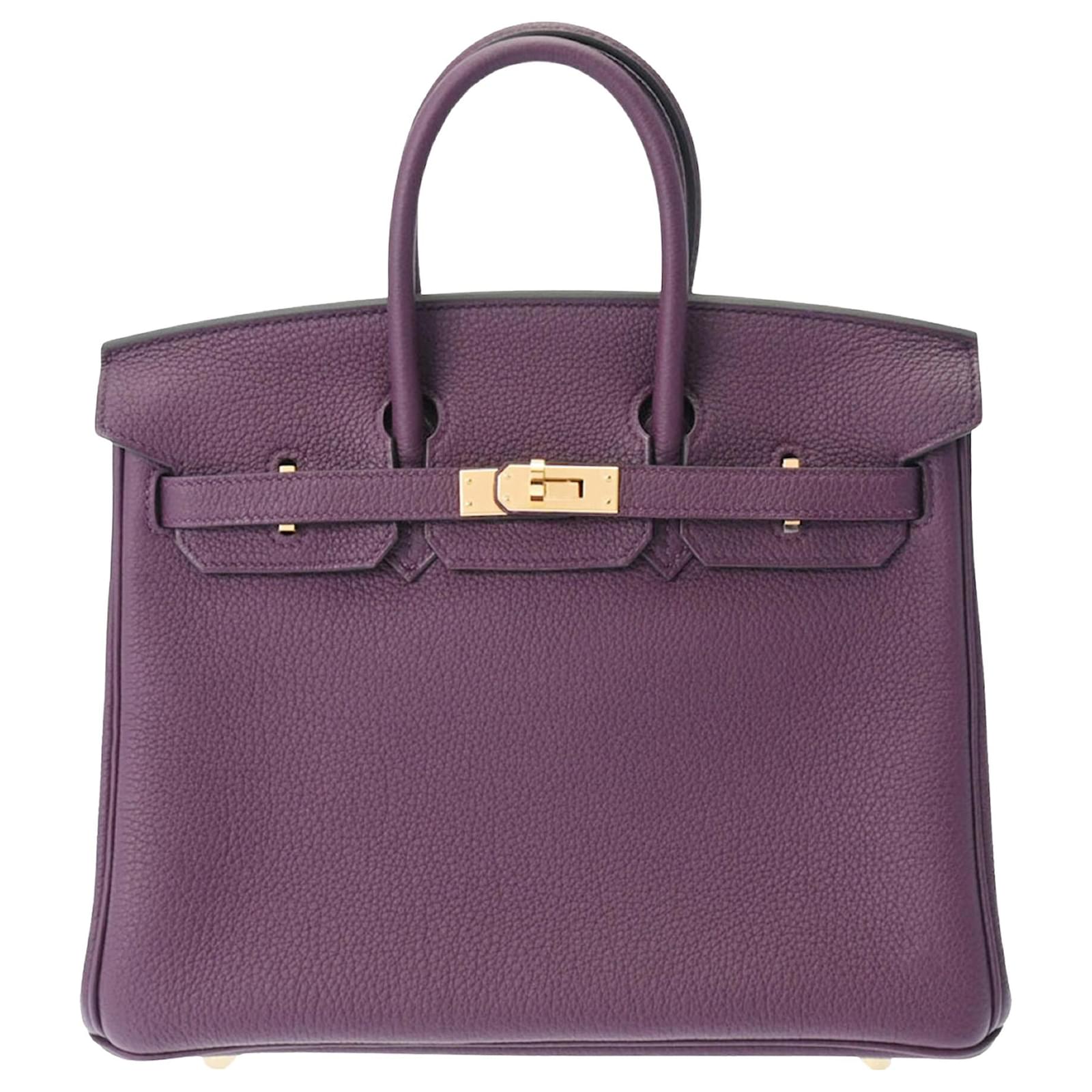 Hermès HERMES BIRKIN 25 Purple Leather ref.1081955 - Joli Closet