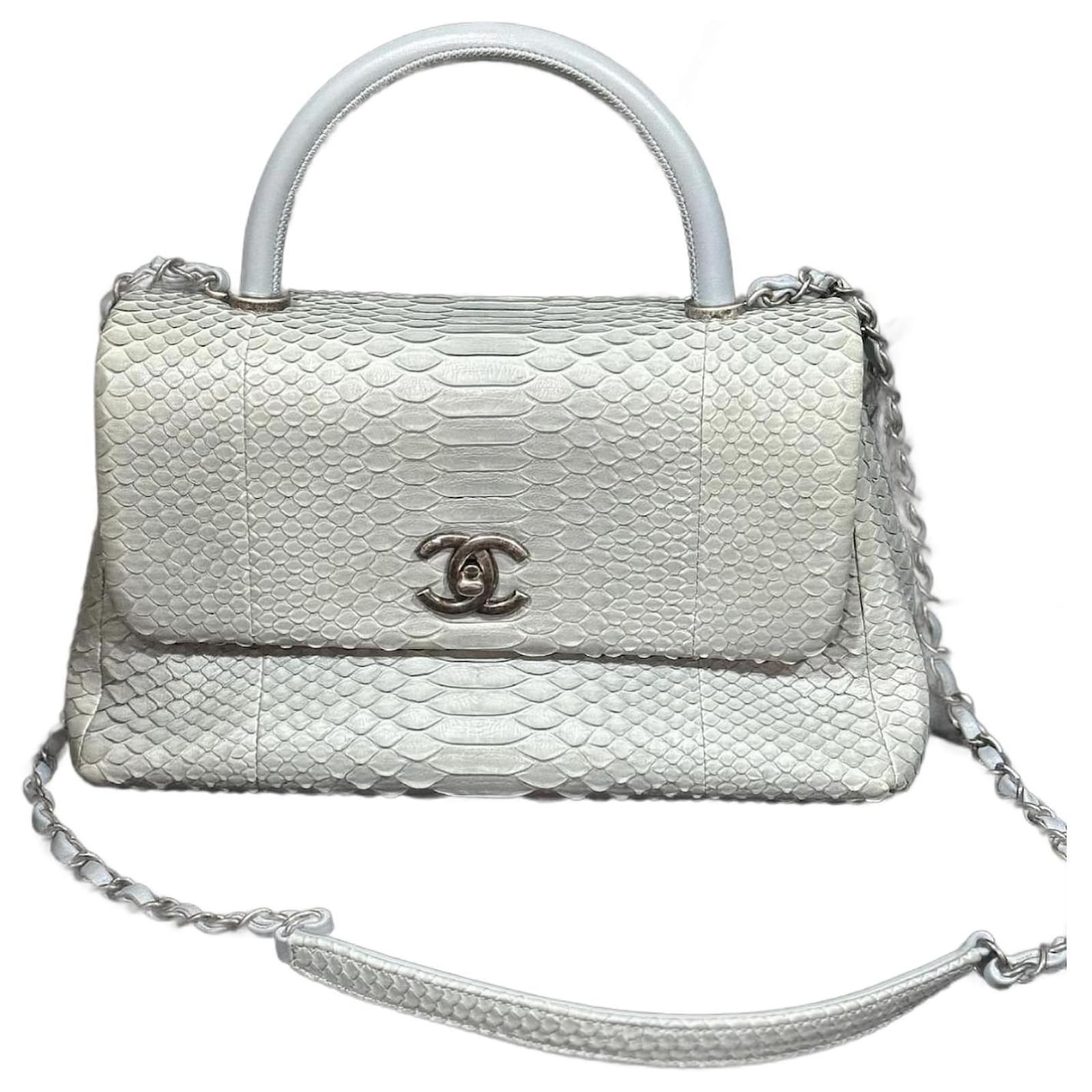 Coco Handle Chanel Handbags Grey Exotic leather ref.1247753 - Joli Closet