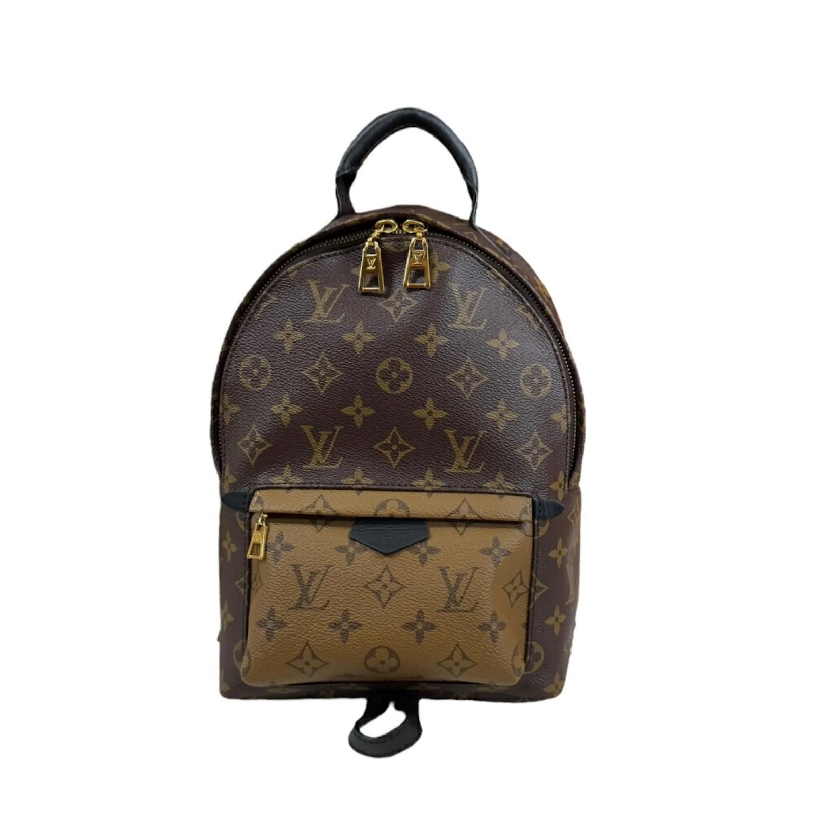 Louis Vuitton Palm Springs PM Monogram Reverse Backpack Brown Patent ...