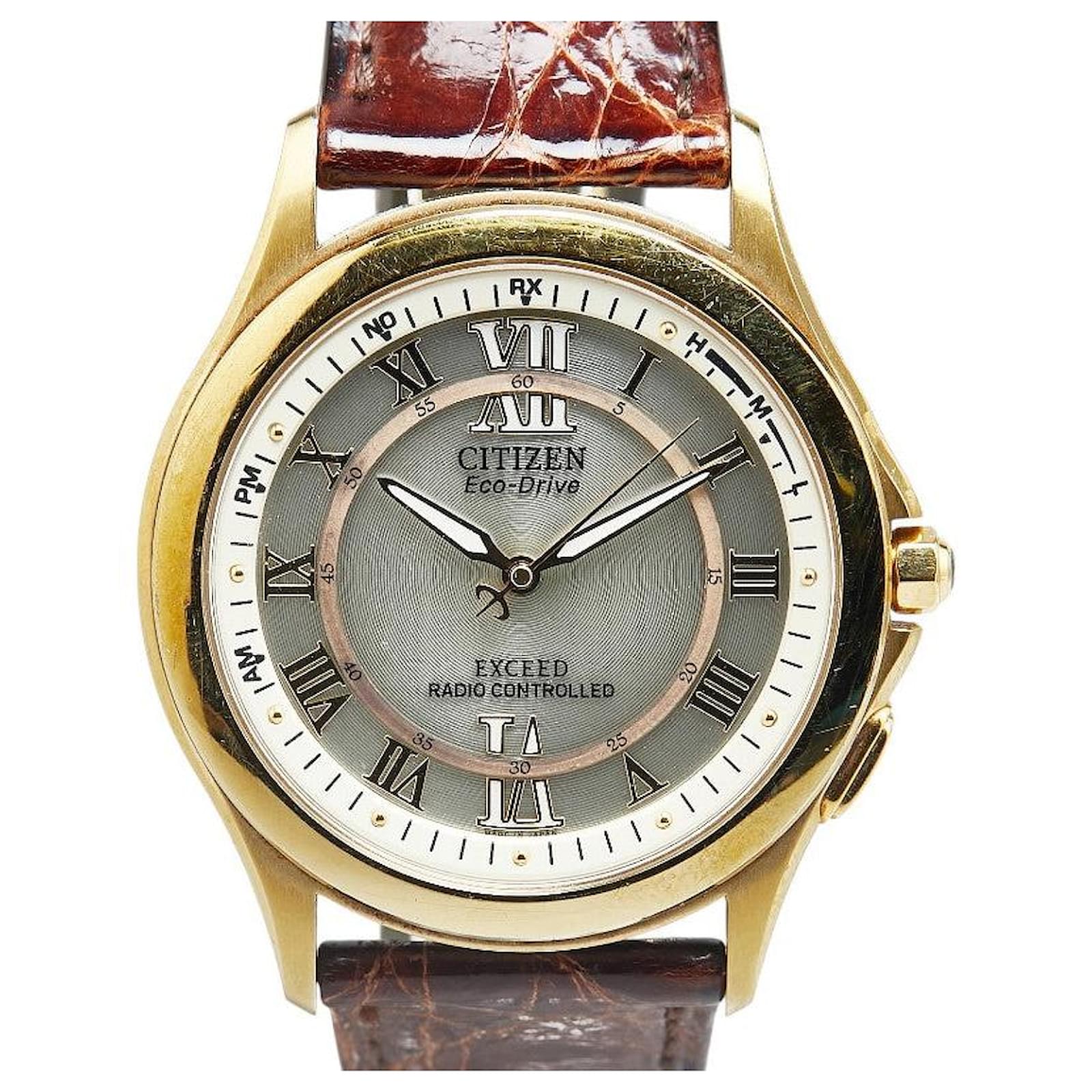 Citizens of Humanity Citizen EXCEED Quartz Watch Silver Dial Golden ...