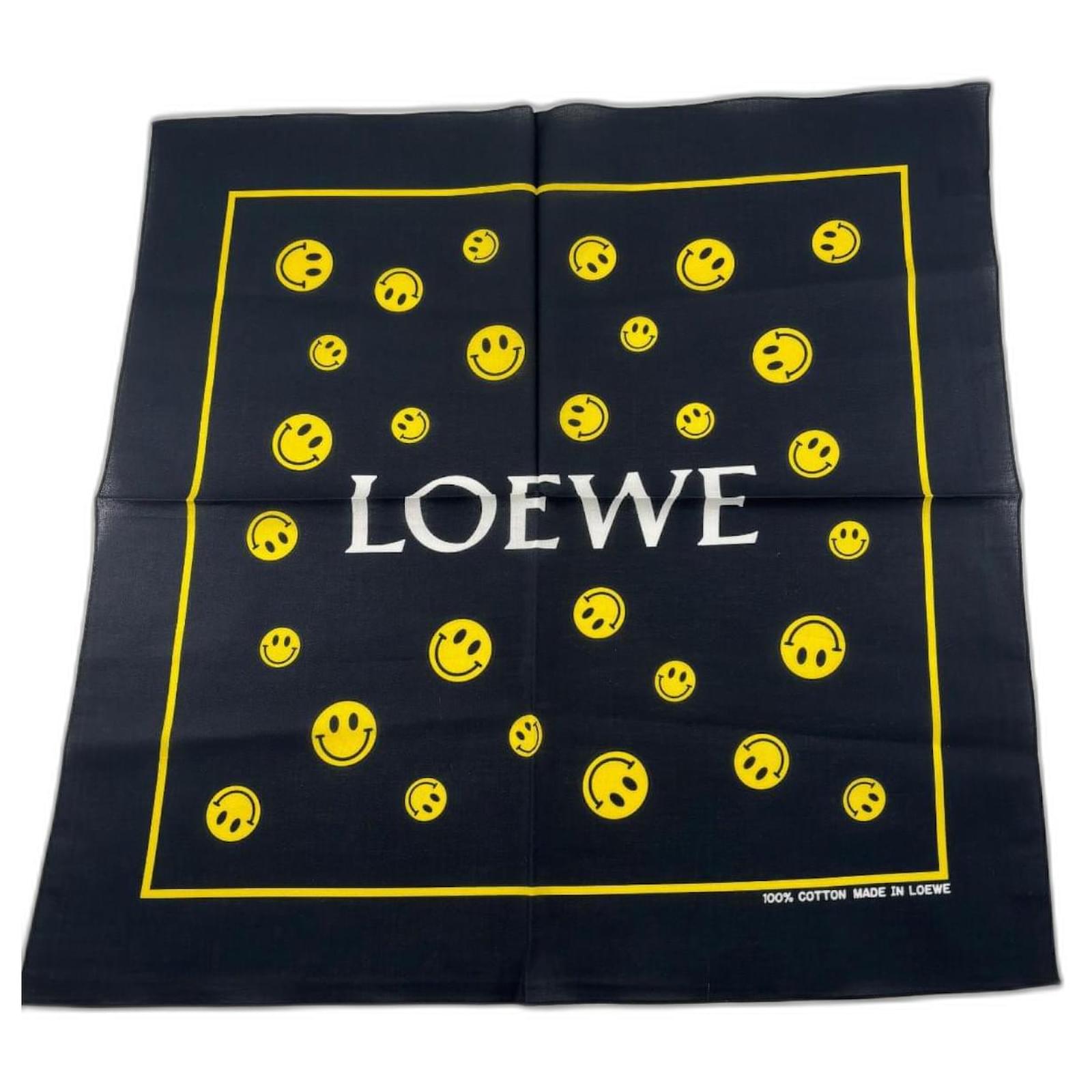 Scarf Loewe Multiple colors Silk ref.2001084 - Joli Closet
