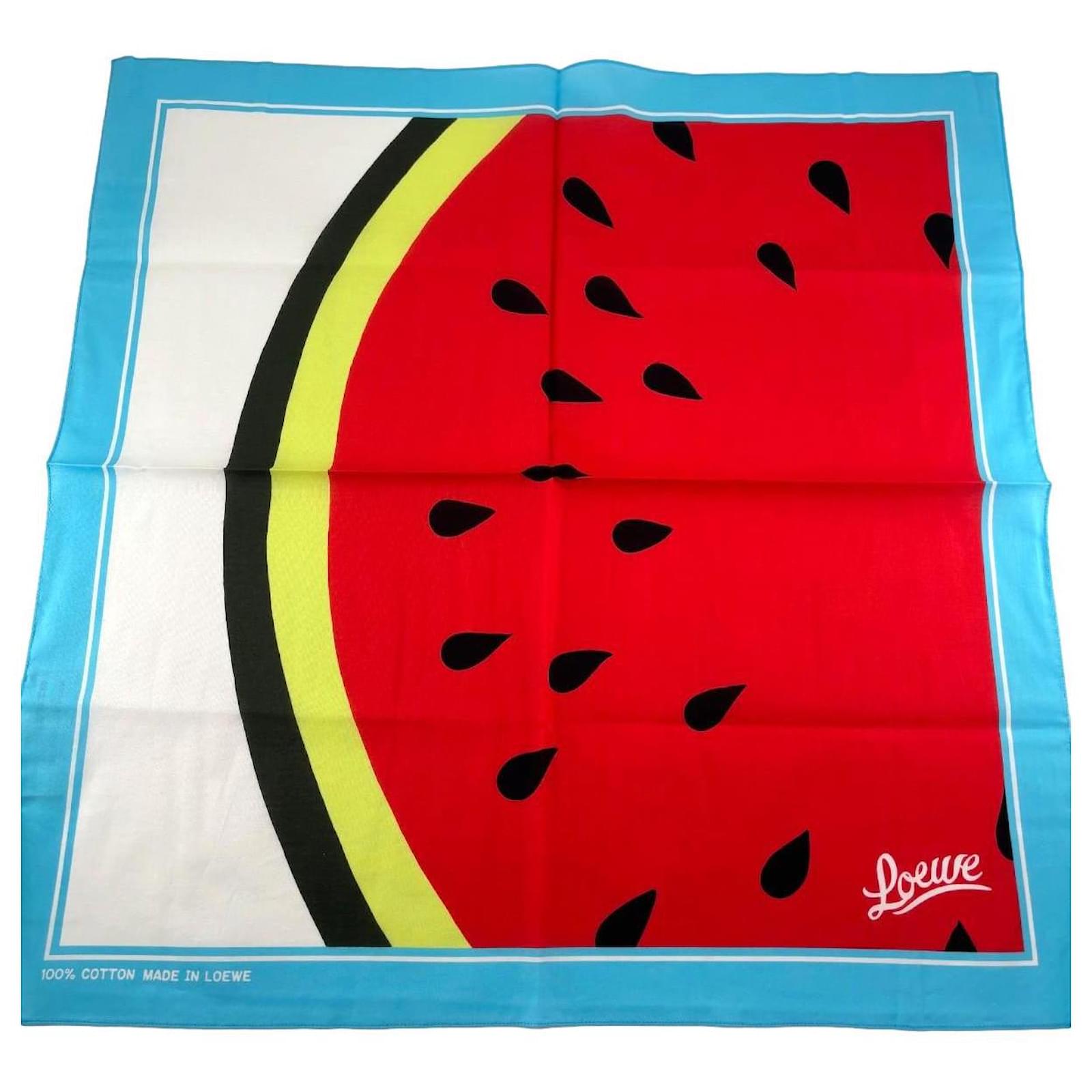 Scarf Loewe Multiple colors Cotton ref.2001105 - Joli Closet