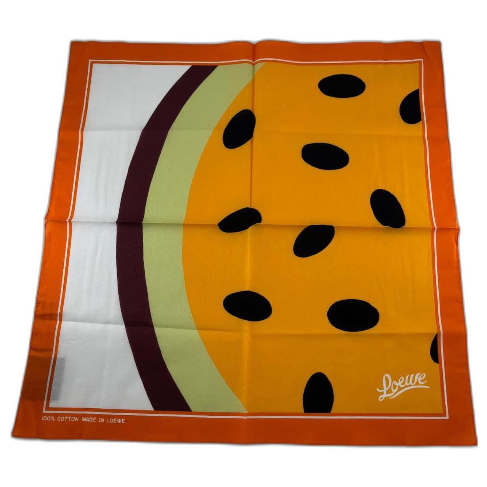 Scarf Loewe Multiple colors Cotton ref.2001119 - Joli Closet