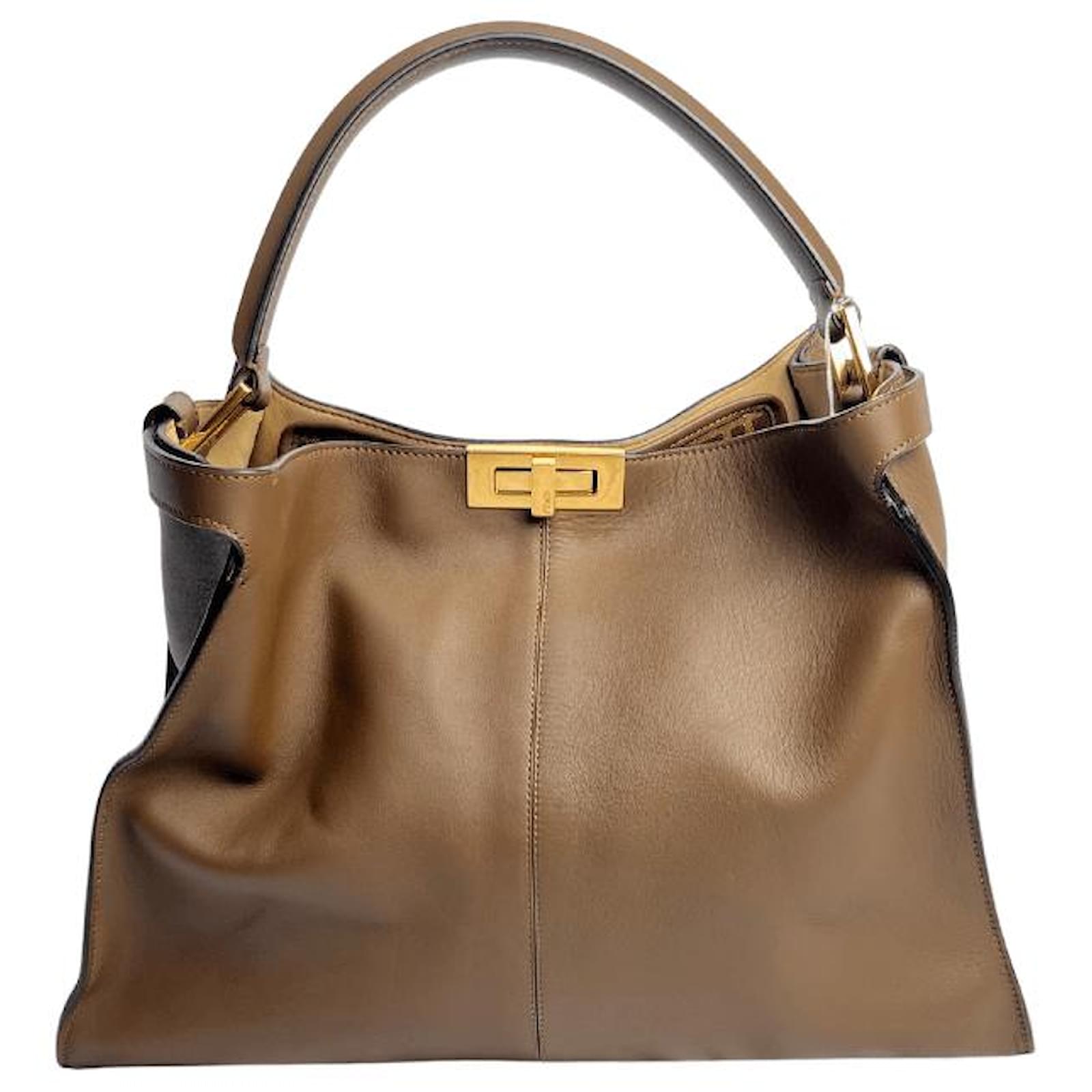 FENDI Handbags T. Leather Multiple colors ref.2014772 - Joli Closet