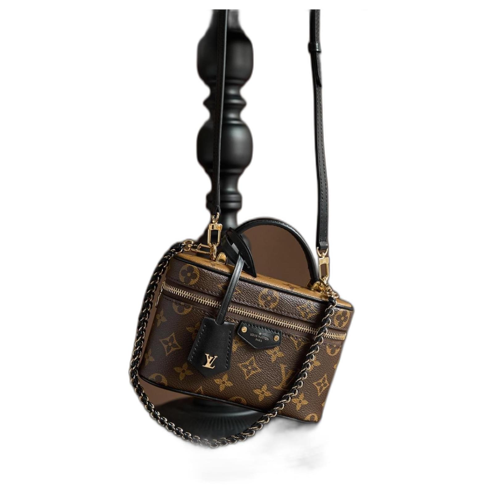 Louis Vuitton Vanity chain pouch Dark brown Leather ref.2015474 - Joli ...