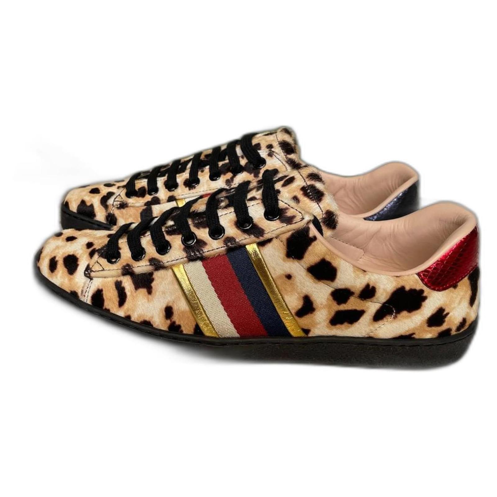 Gucci ace Brown Beige Pony hair ref.2030289 - Joli Closet