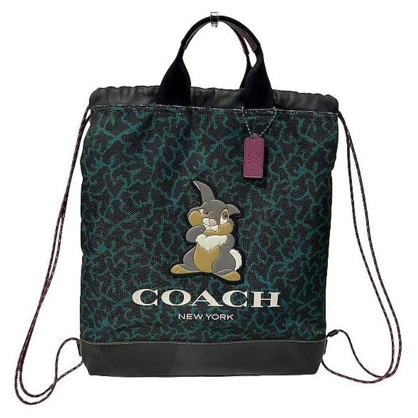 Coach Disney Collab Terrain Wave Backpack Black ref.2179923 - Joli Closet