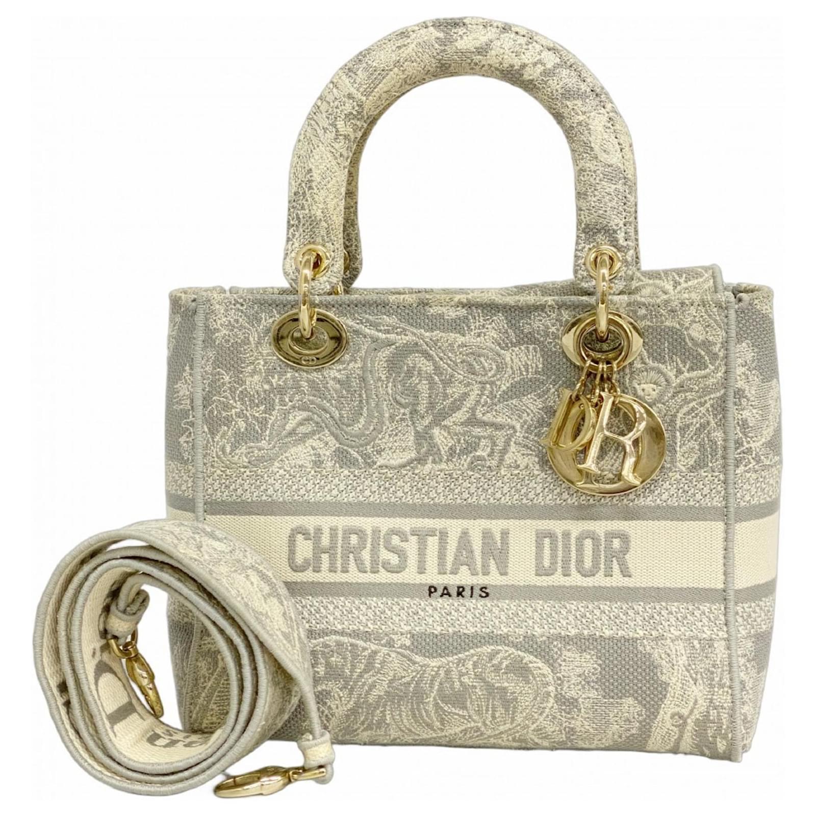 Christian Dior Lady Delight Canvas Handbag Brown Cloth ref.2441500 ...