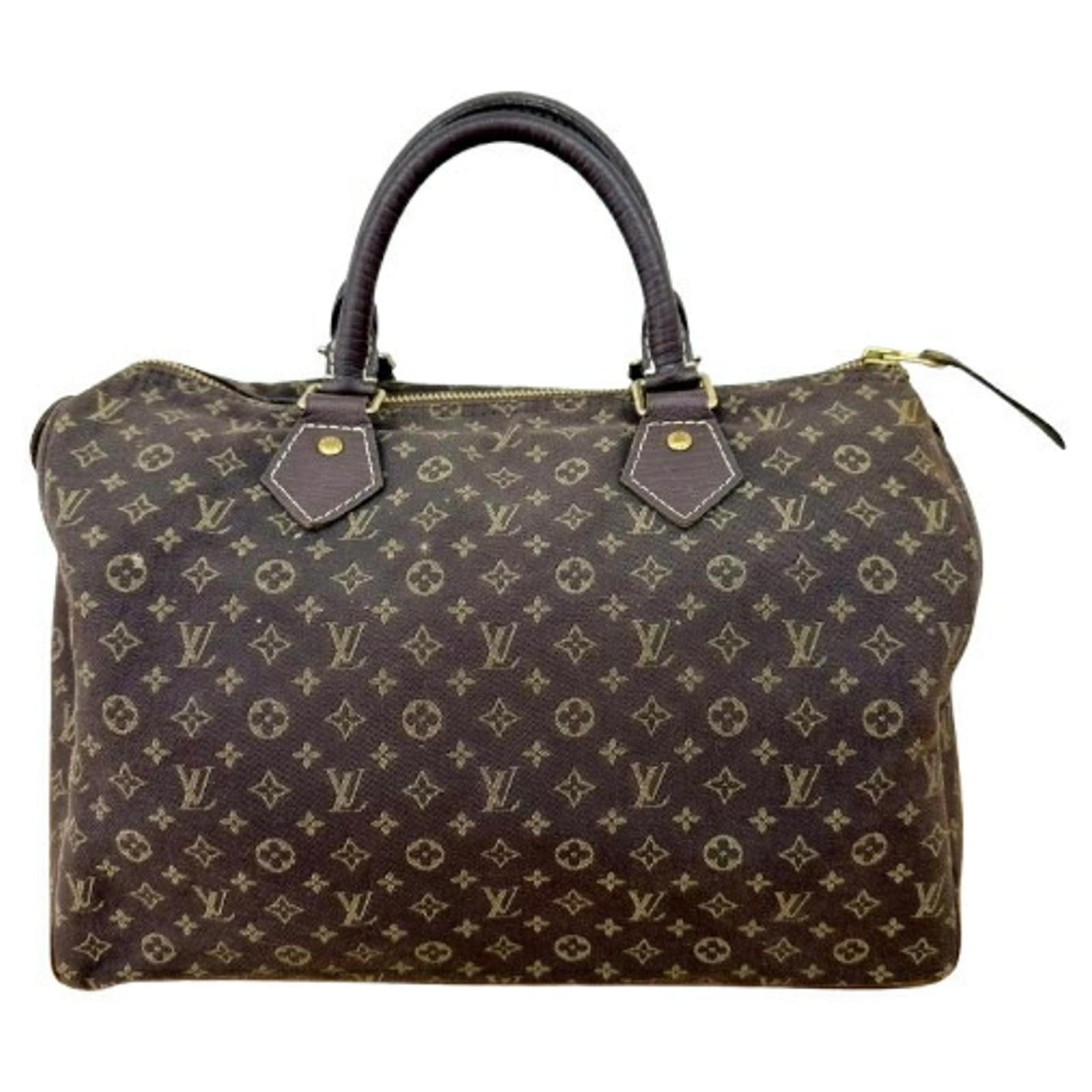 Speedy Louis Vuitton Monogram Mini Boston Bag (Sold) - Joli Closet
